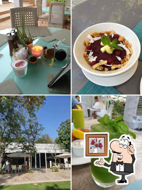 The Farm Restaurant, Al Barari, Dubai - Restaurant menu, prices and reviews