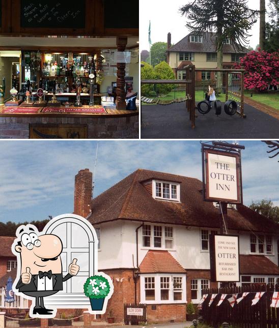 Otter Inn in England - Restaurant reviews