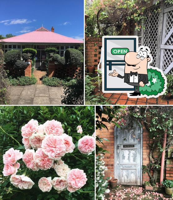 Rosehurst Garden, Pietermaritzburg - Restaurant menu, prices and reviews