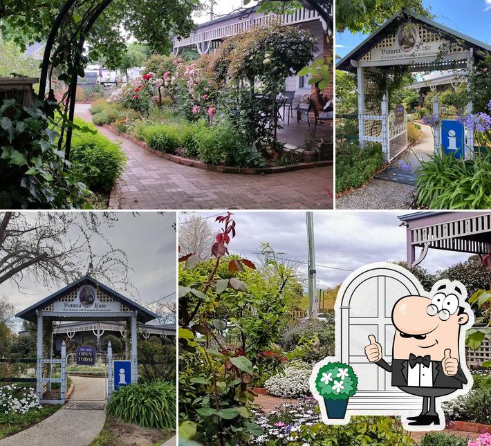 Victoria Rose & Tea Room in Rosedale - Restaurant menu and reviews