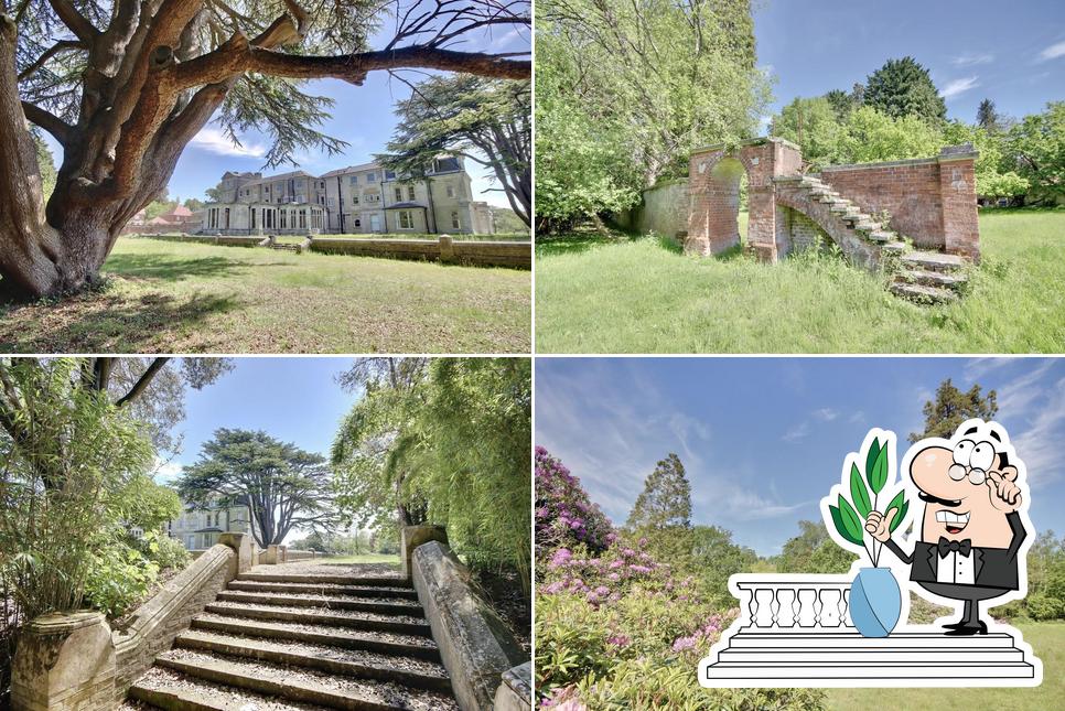 Orange Grove Hotel & Gardens, Southampton - Restaurant menu, prices and ...
