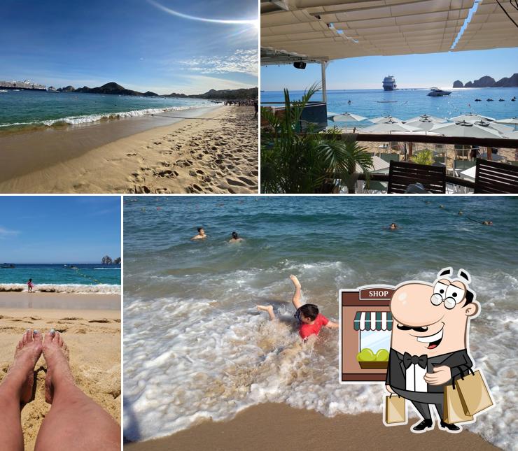 The Sand Bar, Cabo San Lucas - Restaurant menu, prices and reviews