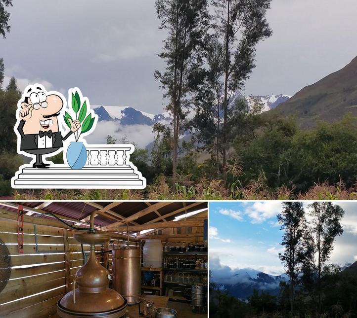 Pub y bar Destilería Andina, Ollantaytambo - Opiniones del restaurante