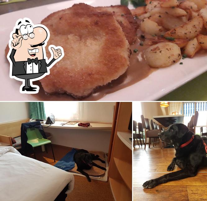 IBIS KITCHEN RESTAURANT, Kassel - Restaurantbewertungen