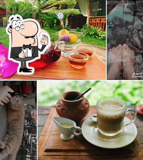 ส่วงคาเฟ่ Shuang cafe, Chiang Mai - Opiniones del restaurante