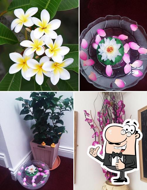 Thai Siam Traditional Massage in Sunderland - Restaurant reviews