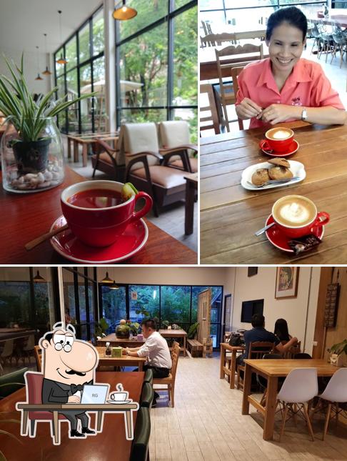 The Tadpole Cafe, Bangkok - Restaurant reviews