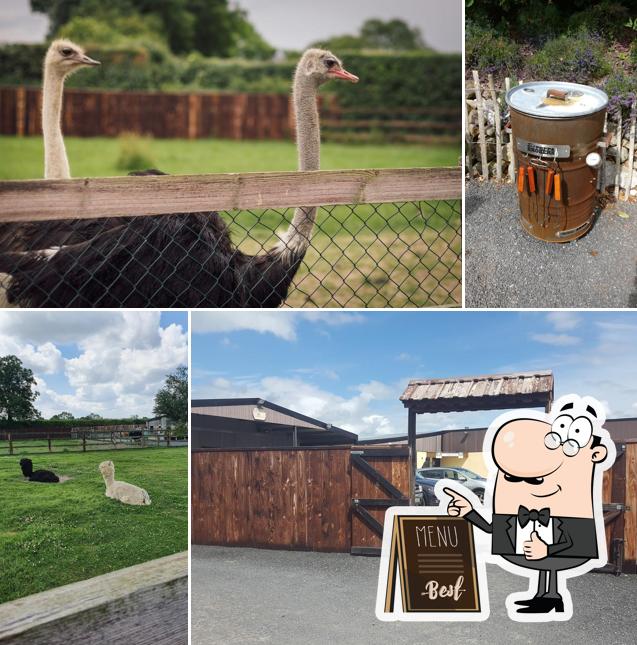 Kildare Farm Foods, Open Farm & Shop in Ireland - Restaurant reviews