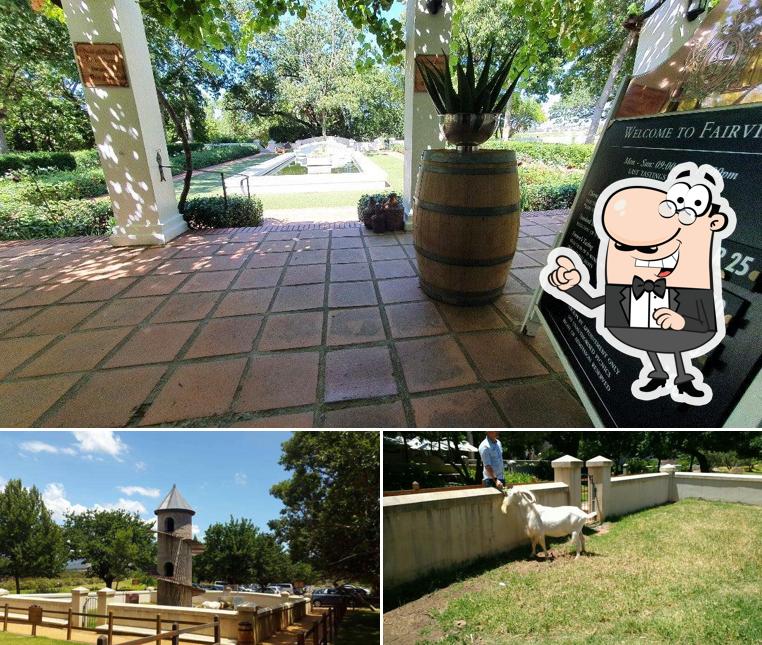 Fairview Wine and Cheese, Paarl - Restaurant menu, prices and reviews