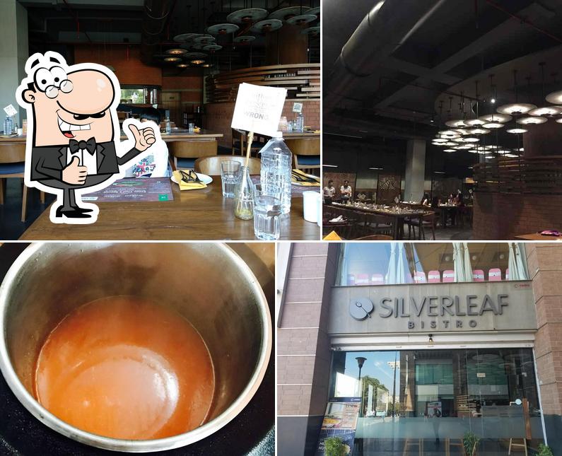 Silver Leaf Bistro, Ahmedabad - Restaurant menu, prices and reviews