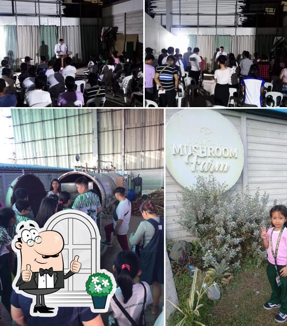 Maligaya Mushroom Farm, Bocaue - Restaurant menu, prices and reviews