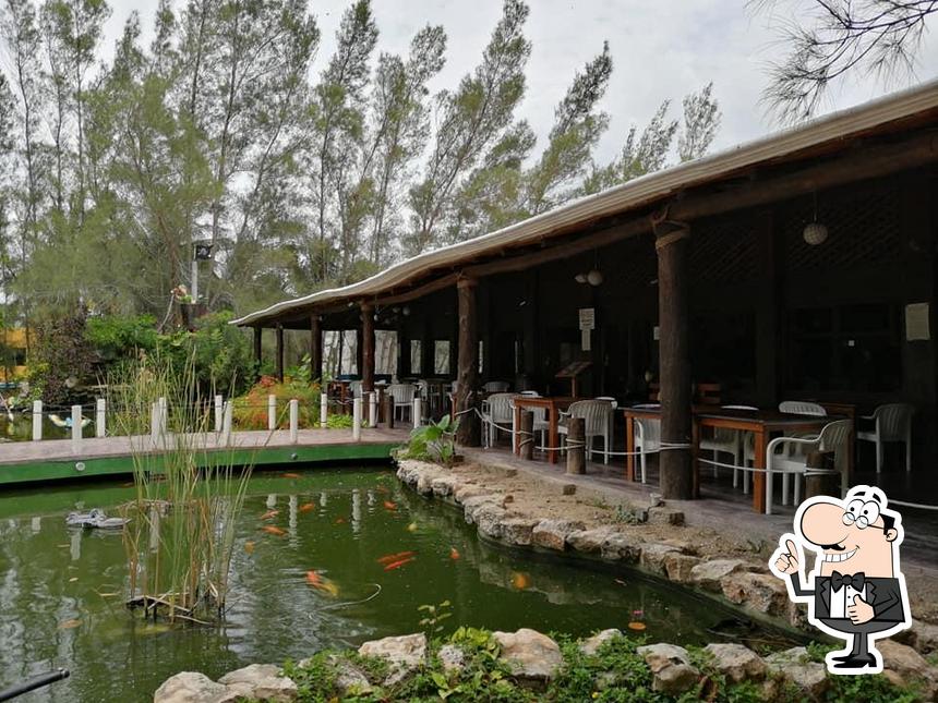 Tarraya Telchac PTO restaurant, Telchac Puerto - Restaurant reviews