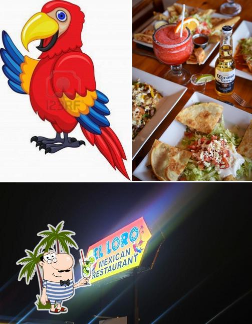 El Loro Mexican Restaurant, Thief River Falls - Restaurant menu, prices ...