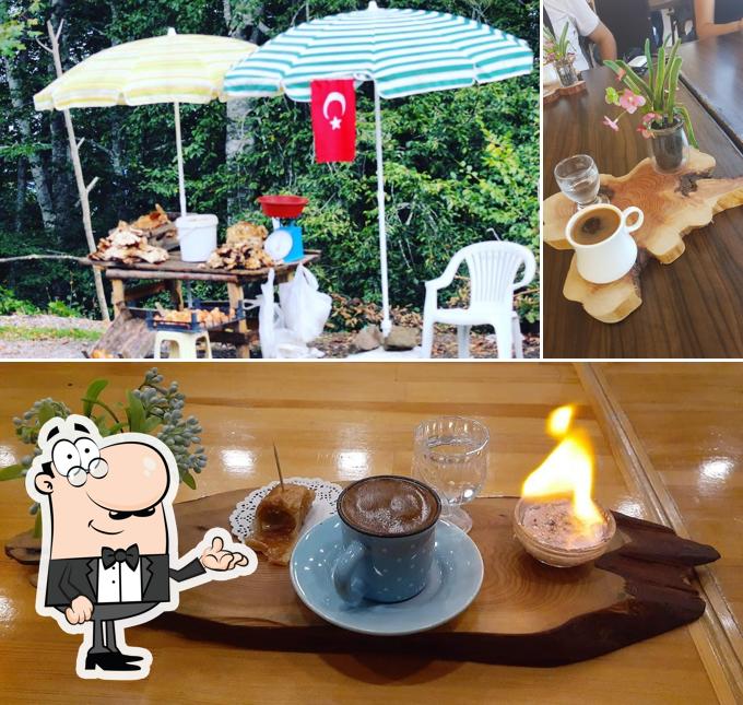 Hisar Cafe, Çatalzeytin - Restaurant reviews