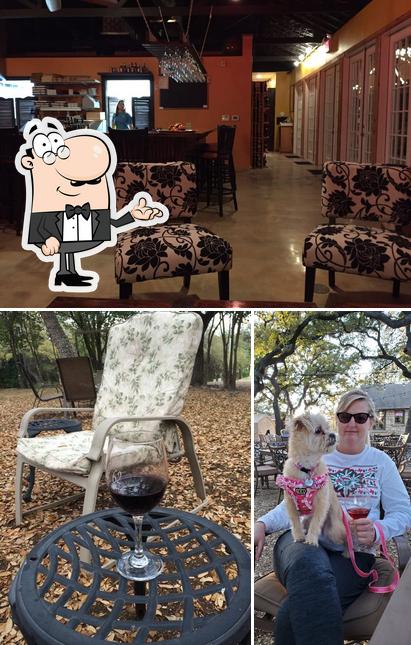 Wine 101 Helotes in Helotes - Restaurant menu and reviews