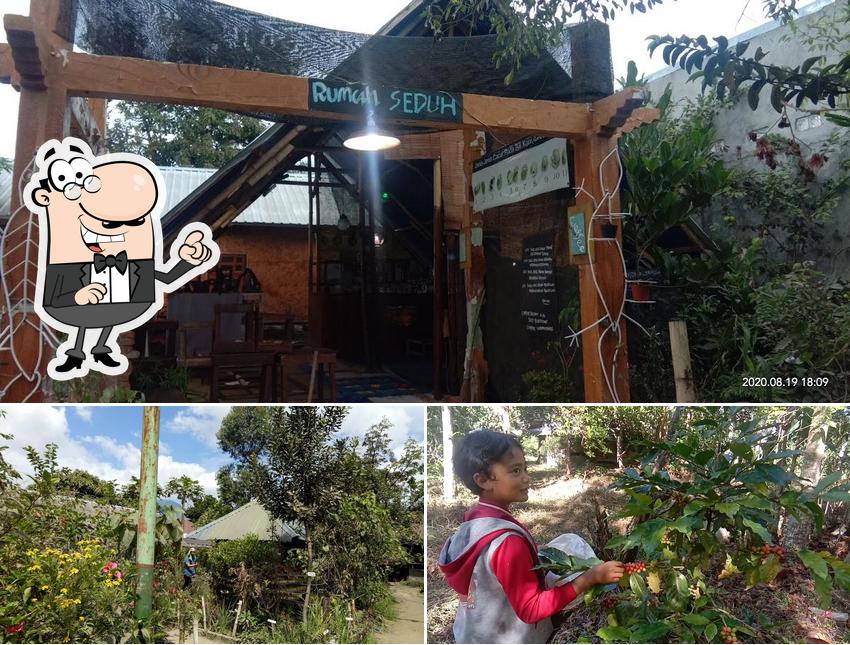 Rumah kopi sembalun (edu- ekowisata kopi) cafe, Indonesia - Restaurant ...