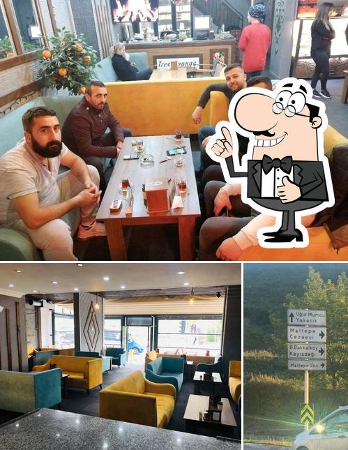 Tree Lounge Nargile Cafe, Istanbul - Restaurant reviews