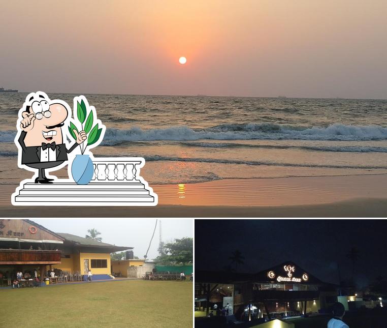 Le Sparrow Beach Resort, Mangaluru - Restaurant menu, prices and reviews