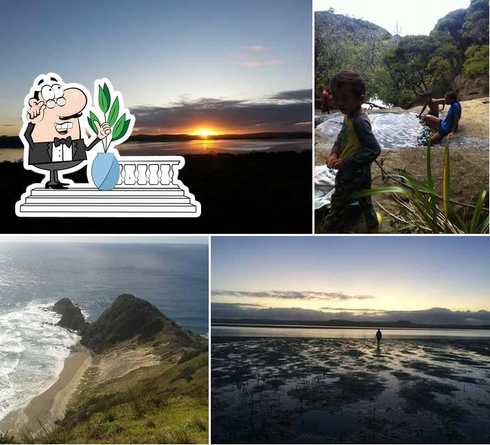 Waitiki Tourist Complex in Te Hapua - Restaurant reviews