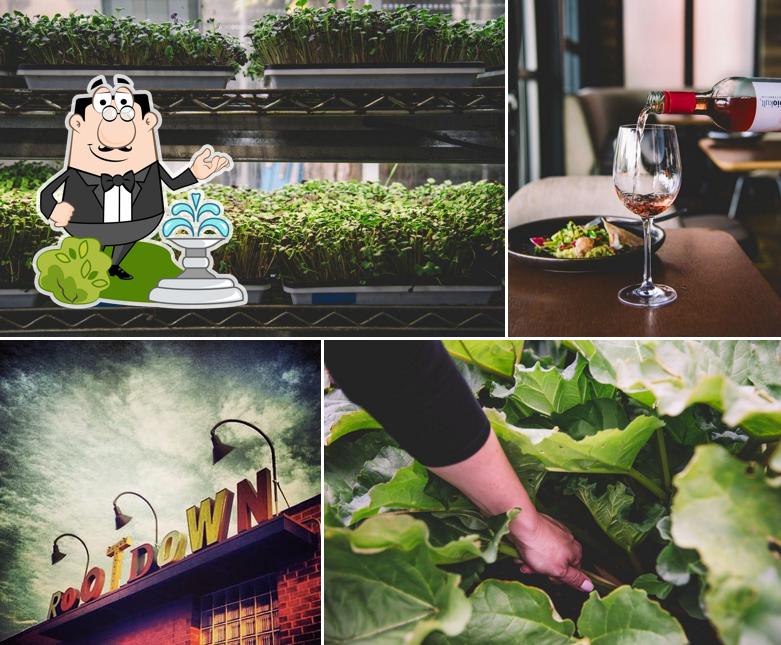 Root Down, Denver - Restaurant menu, prices and reviews