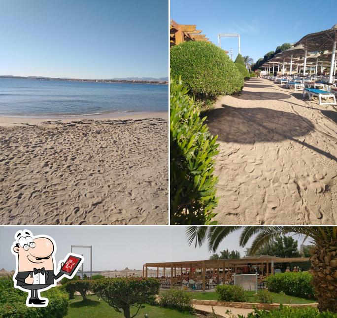 Sunwing-African Bar, Hurghada - Restaurant reviews