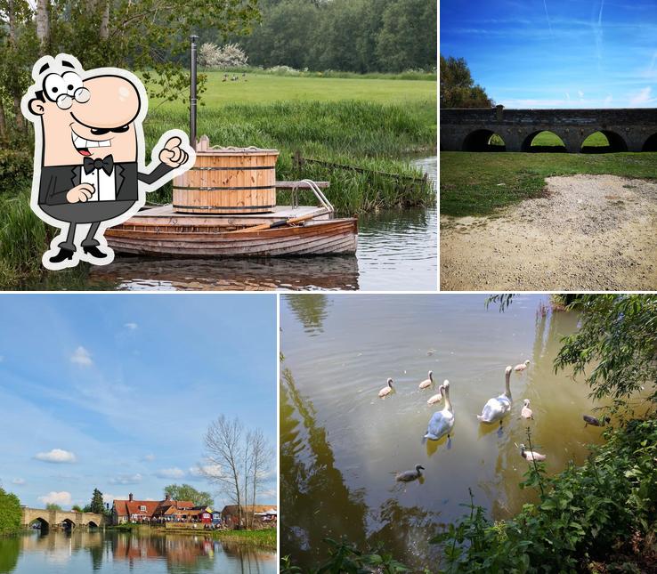The Maybush Pub Newbridge in Northmoor - Restaurant reviews