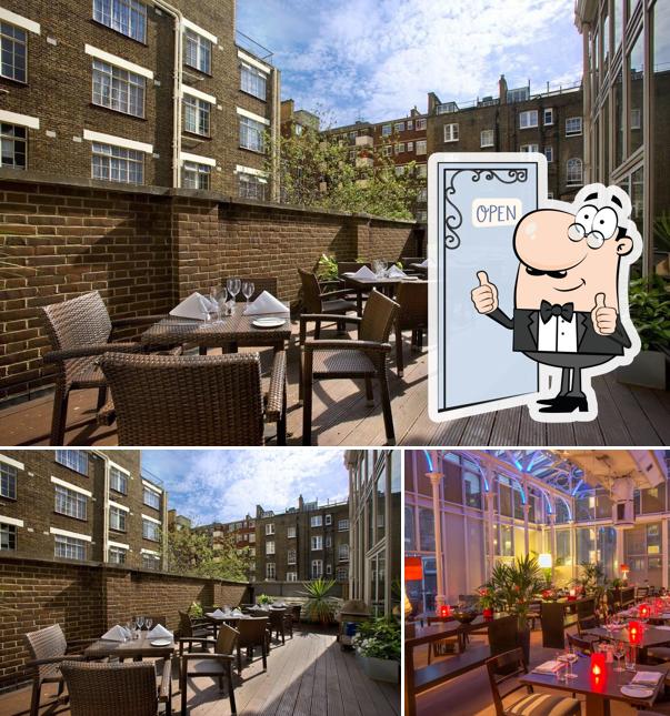 Woburn Place Dining Room, London - Restaurant menu, prices and reviews