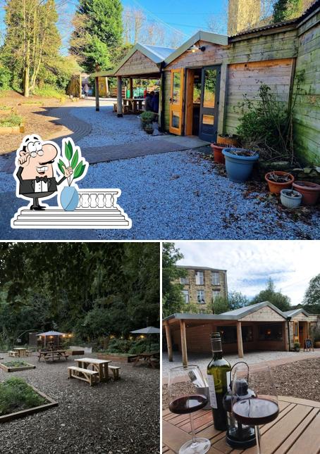 The Allotment Café, Ashton-under-Lyne - Restaurant menu, prices and reviews