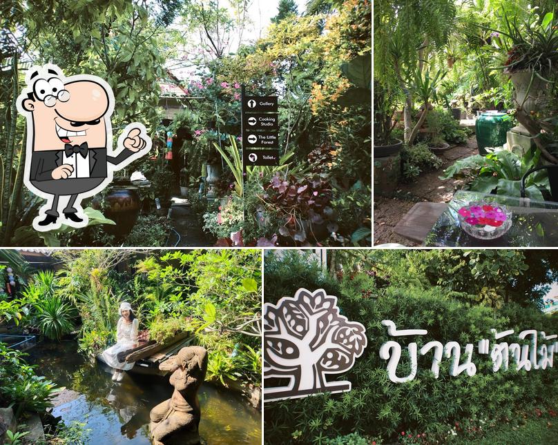 The Little Forest Coffee & Ice Cream cafe, Khlong Kra Saeng ...