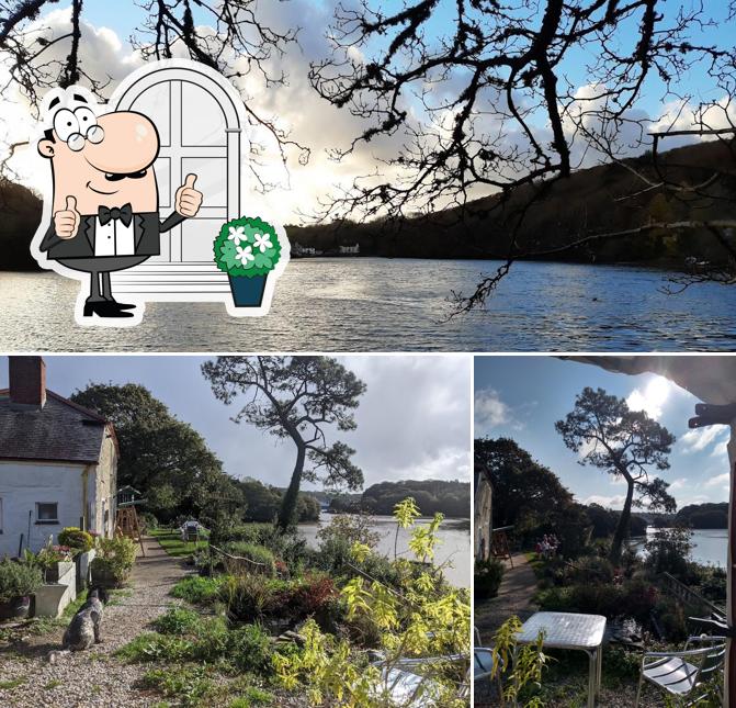 Secret Cupboard & Tea Garden, Truro - Restaurant menu, prices and reviews