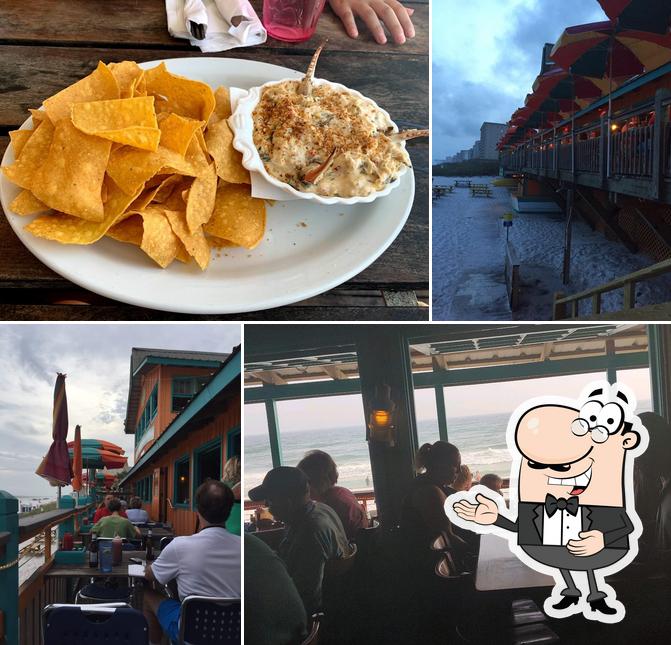 The Back Porch, Destin - Restaurant menu, prices and reviews