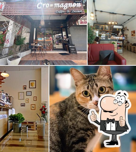 Cro-magnon Cafe, Prachuap Khiri Khan - Restaurant menu and reviews