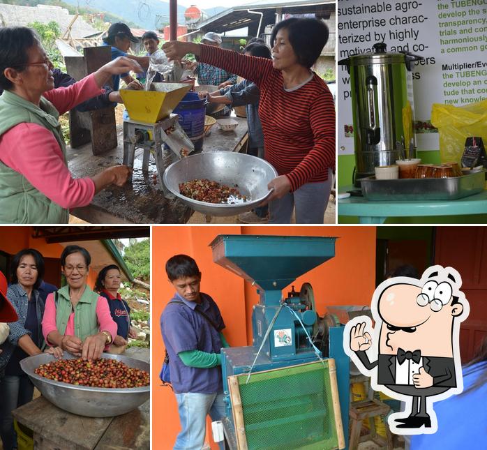 Coffee Processing Center cafe, Tuba - Restaurant reviews