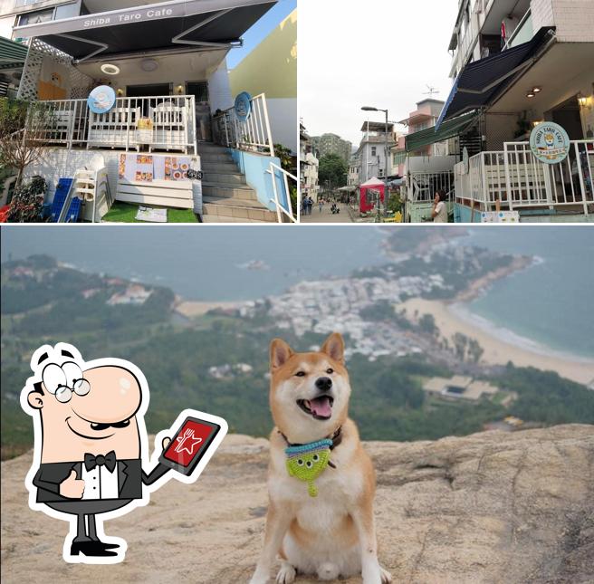 Shiba Taro Cafe, Hong Kong - Restaurant menu, prices and reviews
