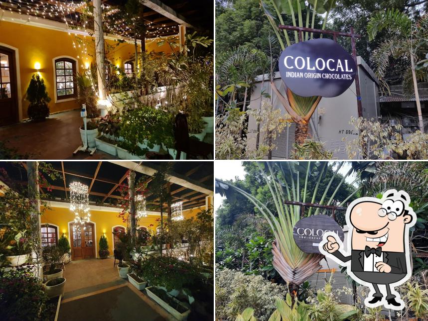 Colocal Chocolates! Dhan Mill, Delhi - Restaurant menu and reviews
