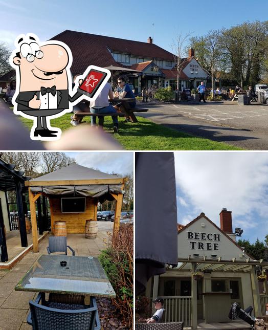 The Beech Tree, Hull - Restaurant menu, prices and reviews
