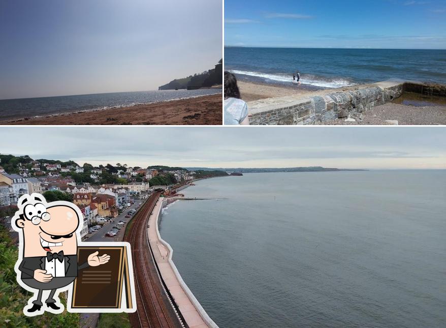 The Marine Tavern in Dawlish - Restaurant menu and reviews
