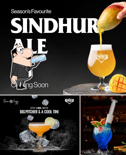 Big Pitcher Sarjapur Road, Bengaluru - Restaurant menu and reviews