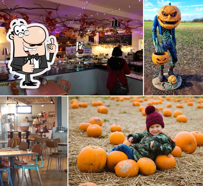Cattows Farm in Ravenstone - Restaurant reviews
