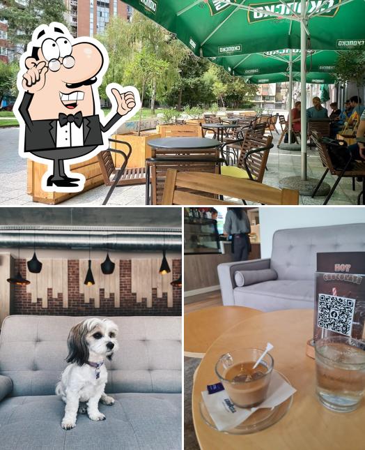 Dnevna Doza Kafe, Skopje - Restaurant reviews