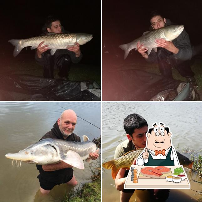 The New Celtic Lakes, Lampeter - Restaurant menu, prices and reviews