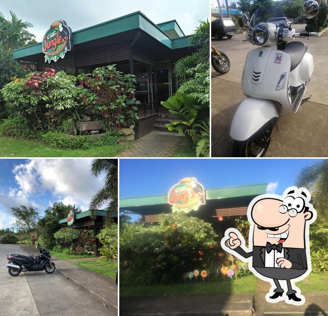 Cafe Jungle (PTT), Lucban - Restaurant reviews