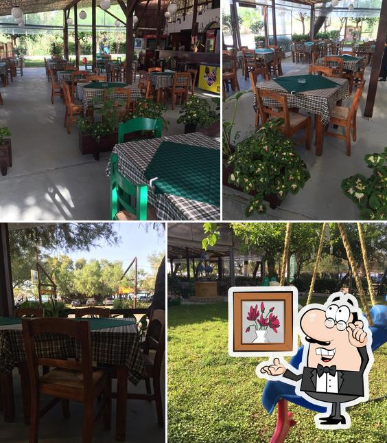 El Verano Beach Bar, Kato Achaia - Restaurant reviews
