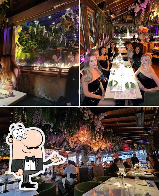 Arden Restaurant, West Hollywood - Restaurant menu, prices and reviews