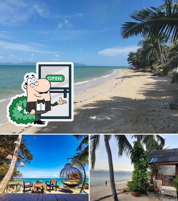 The Vibe cafe, Ko Samui - Restaurant menu and reviews