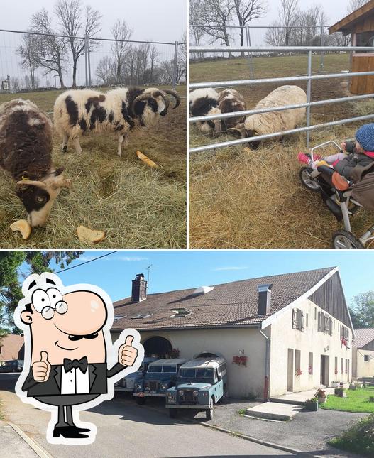 Auberge le sillet roulottes du sillet, Longcochon - Restaurant reviews