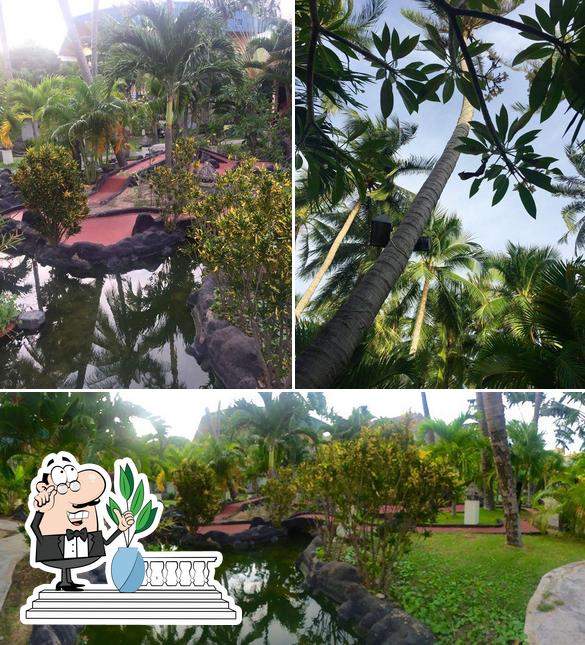 Tropical Mini Golf pub & bar, Phan Thiet - Restaurant reviews