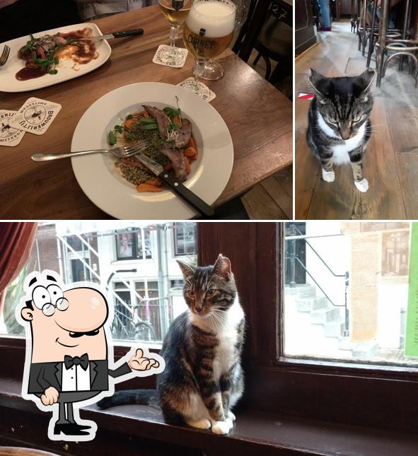 De Reiger, Amsterdam - Restaurant menu, prices and reviews