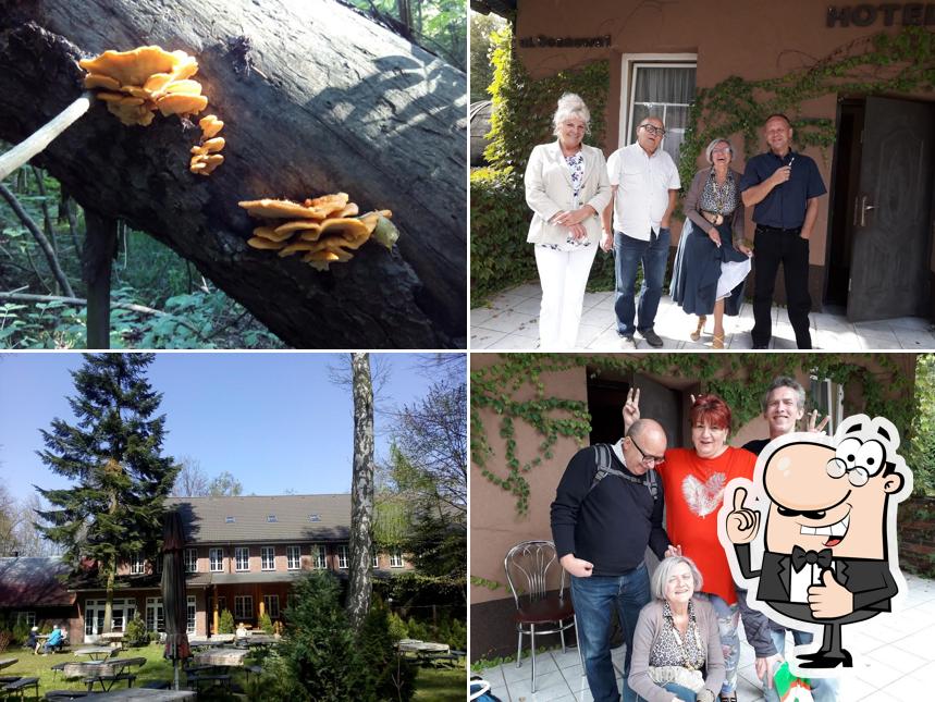 Pod Dębem, Bytom - Restaurant menu, prices and reviews