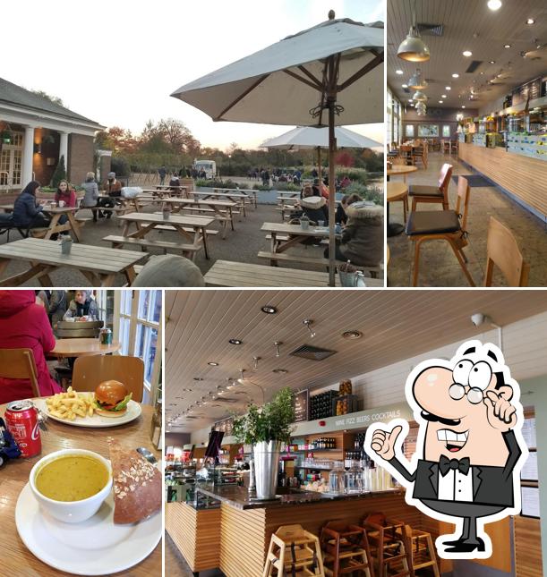 Colicci Serpentine Lido, London - Restaurant menu, prices and reviews